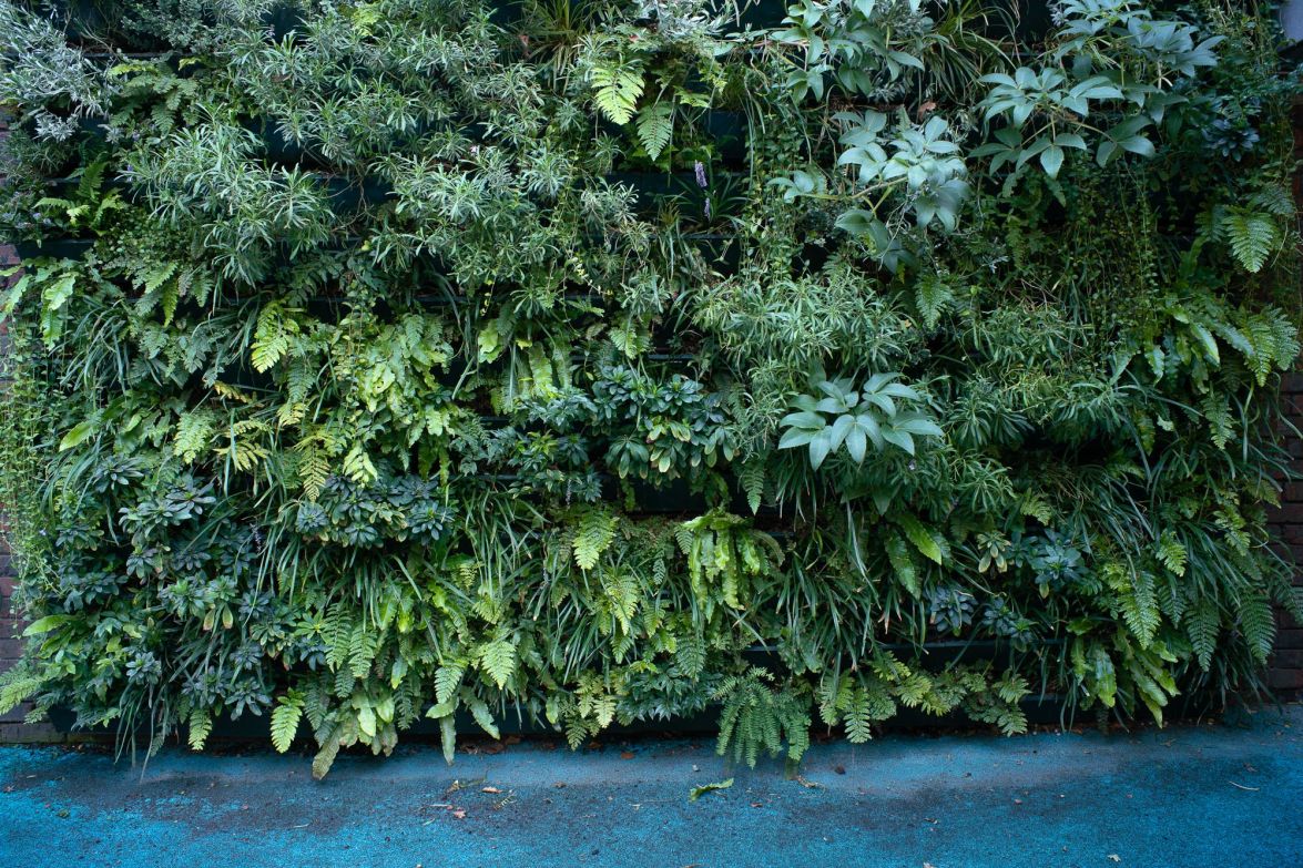 Creating a Garden Estate